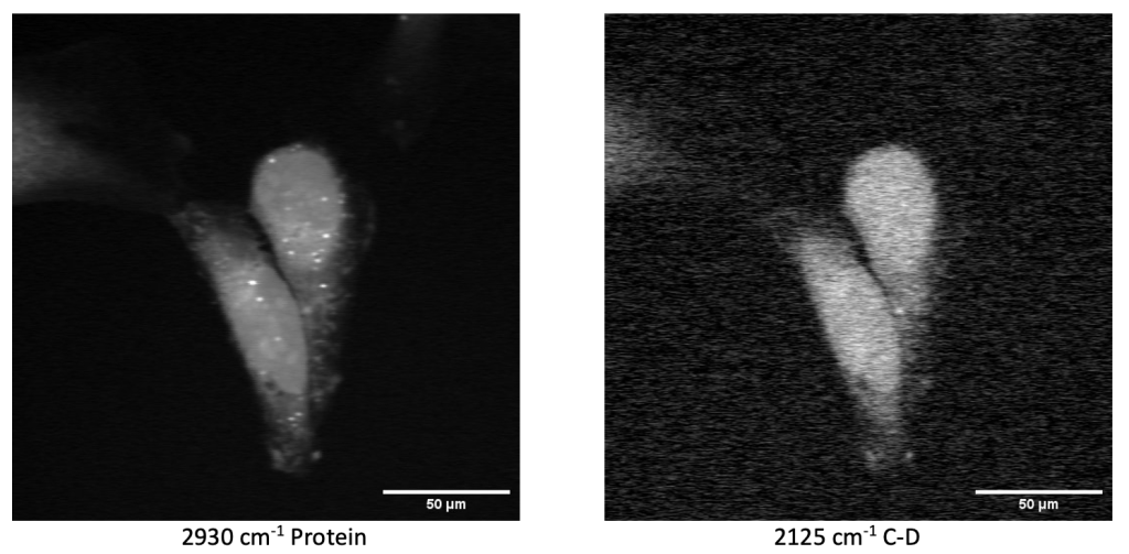 Simplifying two-color stimulated Raman scattering (SRS) microscopy ...