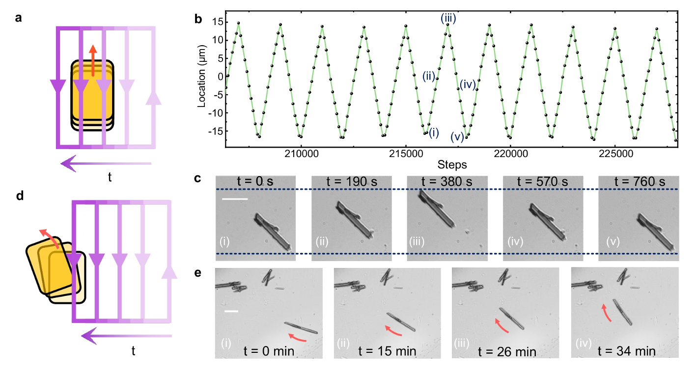 Reconfigurable integrated photonic circuits using optical actuators